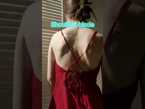 SHOULDER BLADE - MEDICAL DEFINITION | Medical Consecutive Interpreting