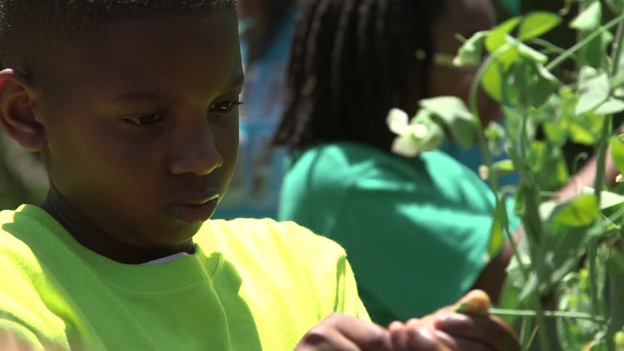 Outdoor Classroom Management