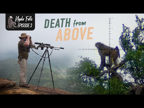 Shooting Baboons from a Cliff! | Nyala Falls, Part 3 – Scattered Shots