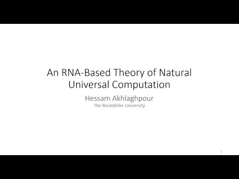 An RNA-based theory of natural universal computation