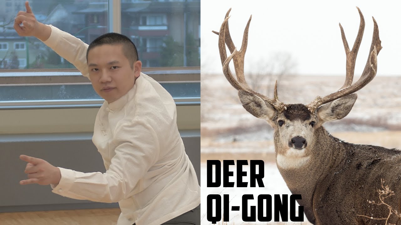 The Five Animals Qi Gong – Exercises that Strengthen Your Mind and Body