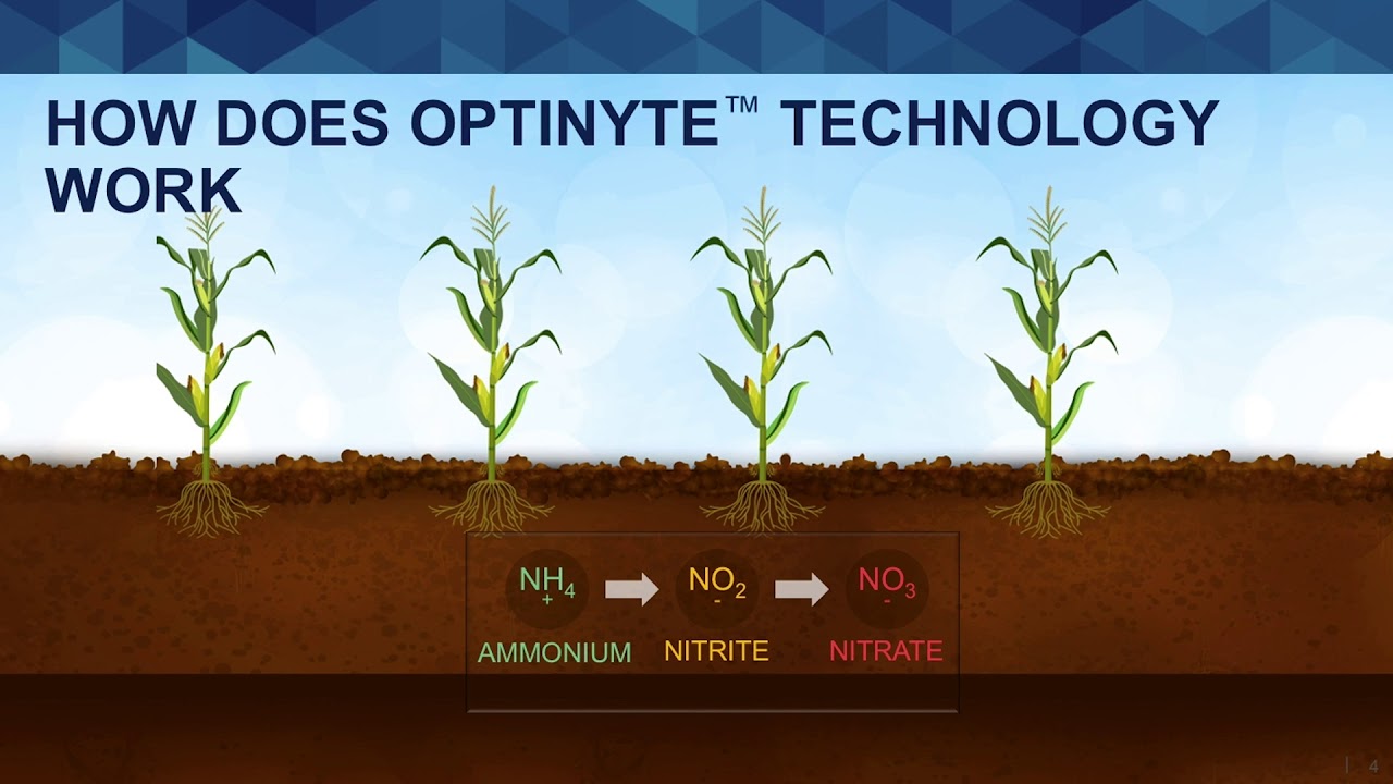 Nitrogen Management with N-Serve