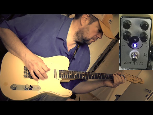 Flavours of Zen: Dual Zendrive and Single Zen | Amps & Pedals | City of ...