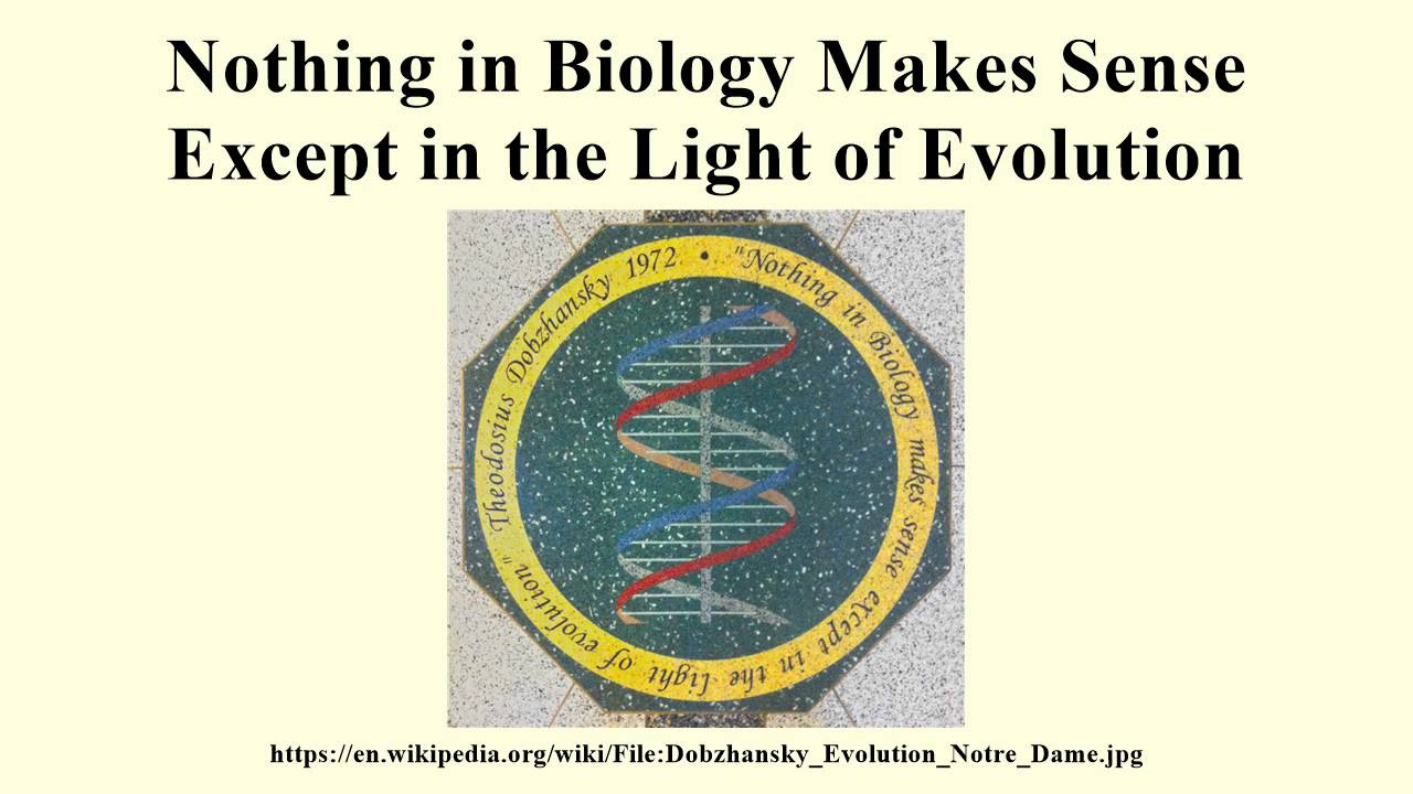 Nothing in Biology Makes Sense Except in the Light of Evolution