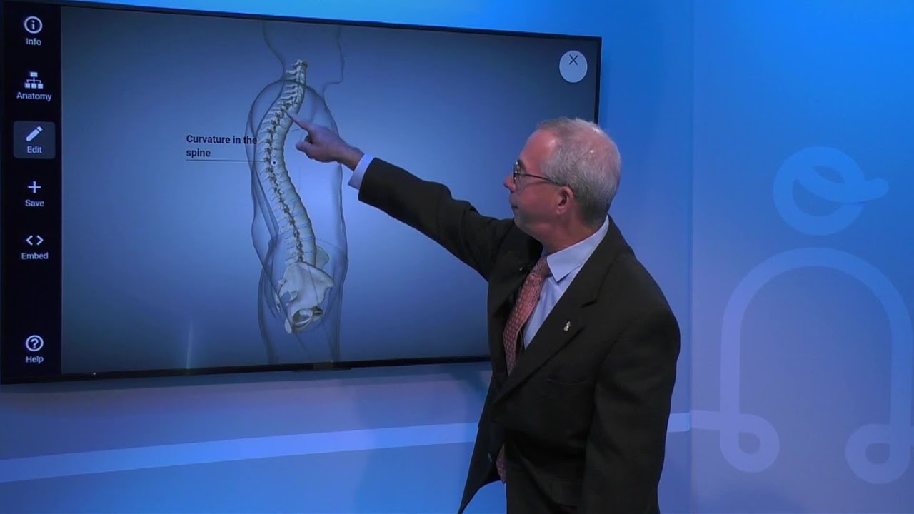 Common Spine Conditions