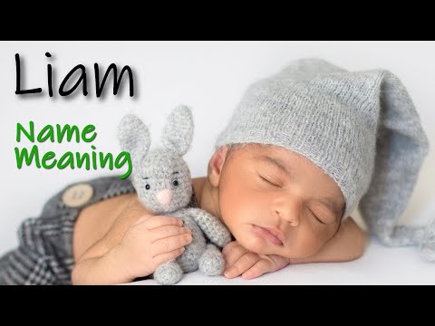 Liam | Name Meaning 👶🥰❤️