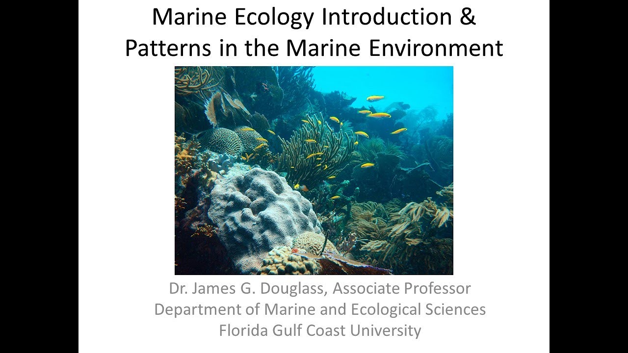 Marine Ecology Intro and Patterns in the Marine Environment