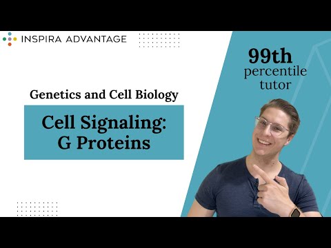 Genetics and Cell Biology: Cell Signaling - G Proteins | MCAT Crash Course