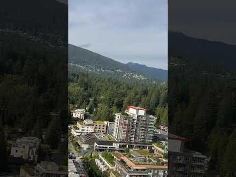 #MOUNTAINVIEW @TheThreeDegreesOfficial