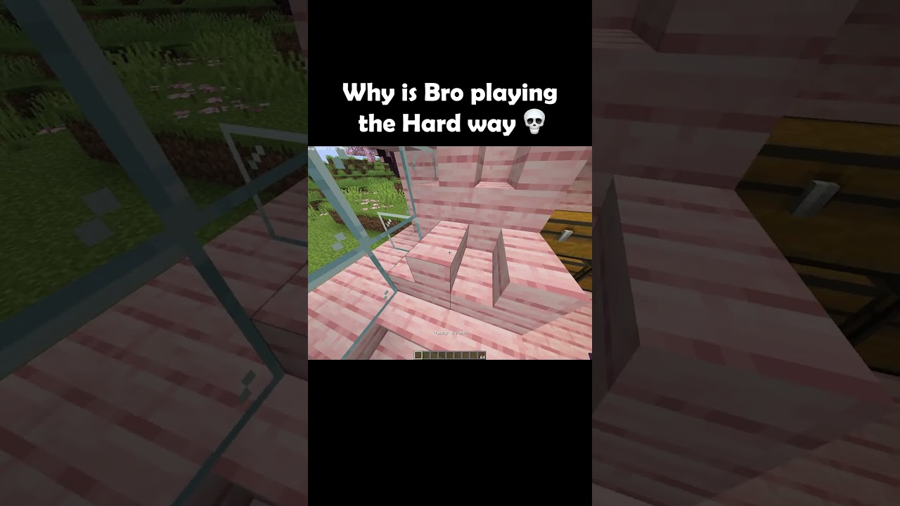 Minecraft Debug Stick Moment