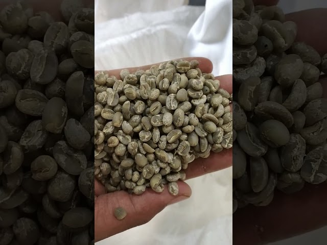 Coffee Dry Processing Machine - 28 Inch Smout Peeler Polisher ...