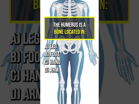 The humerus is a bone located in: #trivia #quiz #funfacts