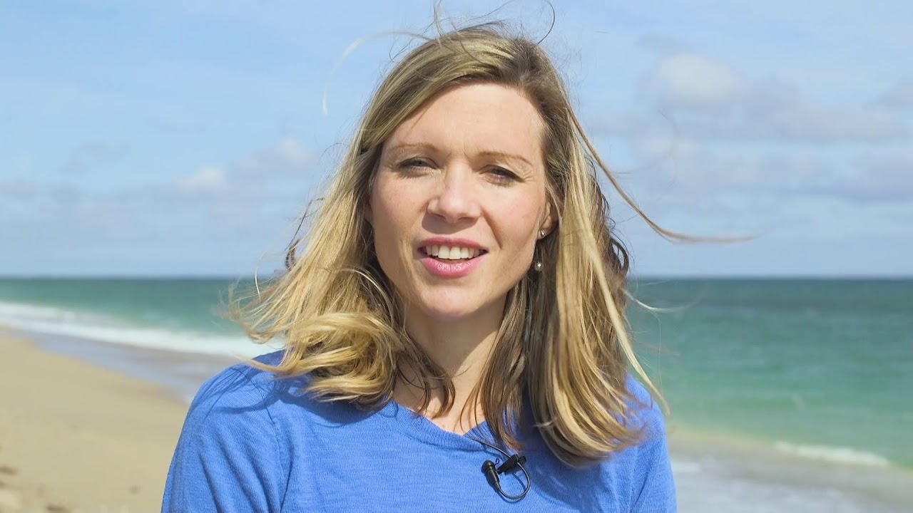 PBDA Introduces the Coral Project