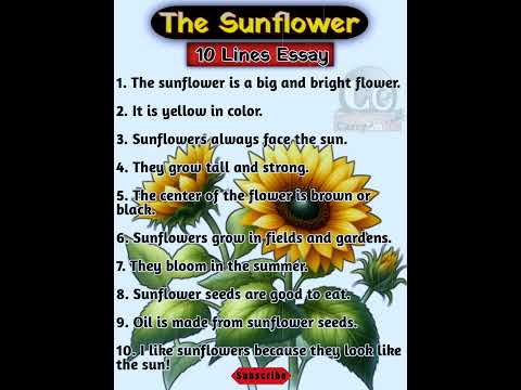 10 Lines Essay on The Sunflower in English 🌻 | Easy Essay on Sunflower 🌻 #sunflower @CarryOn-360