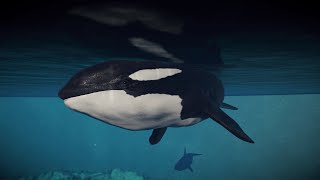 Shamu from Sea World in Accurate Orca Tank at Jurassic World Evolution ...