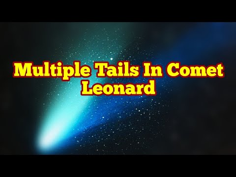 Visual Discovery Of Multiple Tails In Comet Leonard C/2021 A1