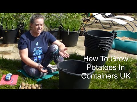How To Grow Potatoes In Containers UK