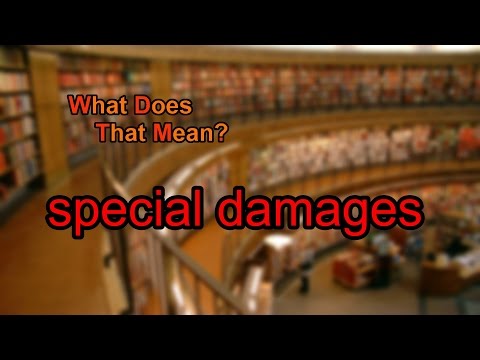 What does special damages mean?
