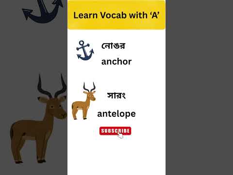 Learn English Vocabulary with Bengali Meaning / Daily Vocabulary #shortsfeed #learnvocabulary