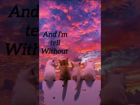 blue song lyrics cats asethetic #cat #cuteanimal