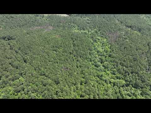 49+/- Acres 1540 Pepper Road | Ashland AL