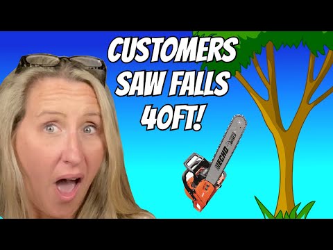 Customers $500 chainsaw DESTROYED! Echo CS2511-T engine swap Repair/Vlog