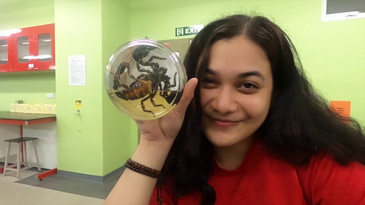 Management and Science University : Rankings, Fees & Courses Details ...