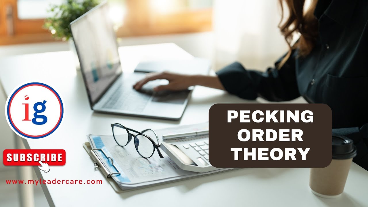 Pecking Order Theory  A Deep Dive