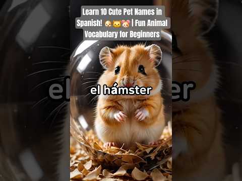 Learn 10 Cute Pet Names in Spanish! πΆπ±πΉ | Fun Animal Vocabulary for Beginners#spanishlesson