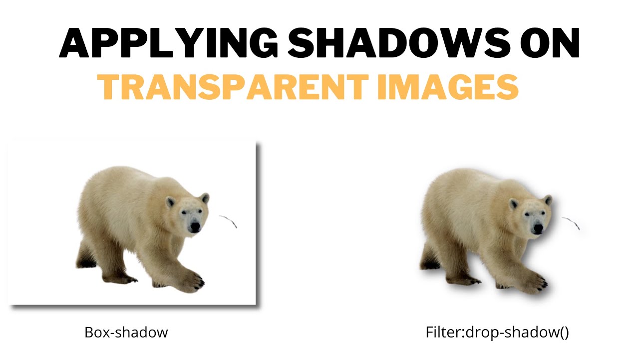 How to Apply CSS Shadow On Transparent Images