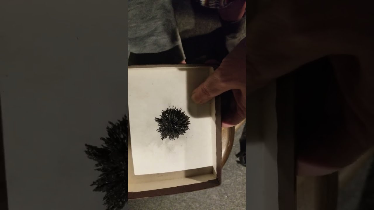 Faraday Paradox (not a paradox) Explained