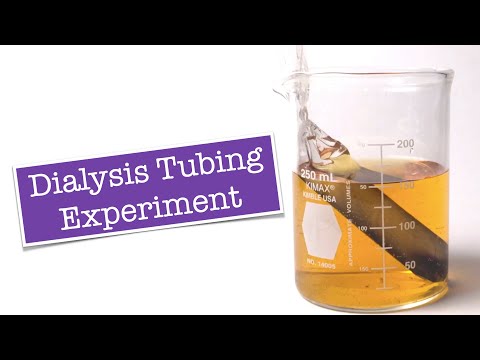 Dialysis Tubing Experiment
