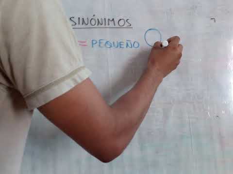 SINÓNIMOS -DEFINICIÓN Y EJEMPLOS