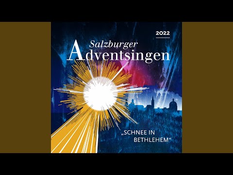 Salzachtaler Harfenländler (2022)