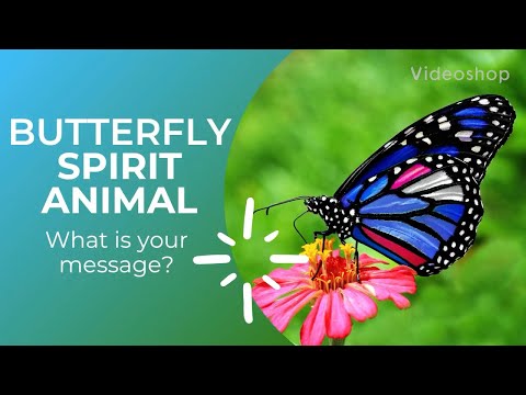 Butterfly Spiritual Meaning | Butterfly Spirit Animal #butterflyspiritanimal #butterflyspiritguide