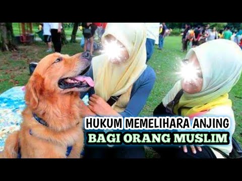 Is it permissible to keep a dog for Muslims???