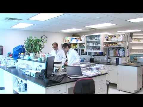 DMU Research