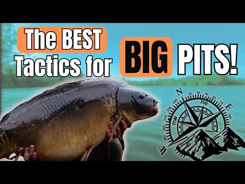 CARP FISHING - Catch well on BIG waters! tactics & tips!
