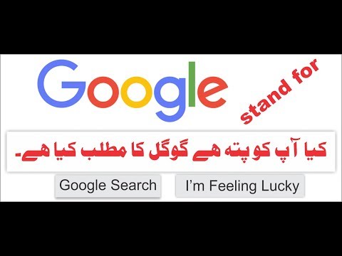 What is the meaning of Google urdu hindi