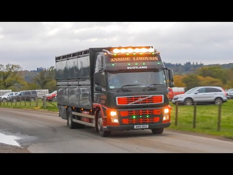 Livestock Trucks at Stirling United Auctions Bull Sale (23/10/23)