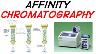 fabregas123: Affinity Chromatography Ppt