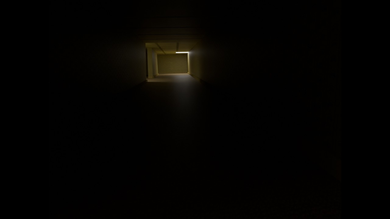 VHS Backrooms Test 1