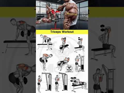 5 Secrets Top Trainers Use for Effective Triceps Training