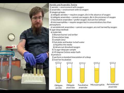 Aerobic vs. Anaerobic Testing (Microbiology)