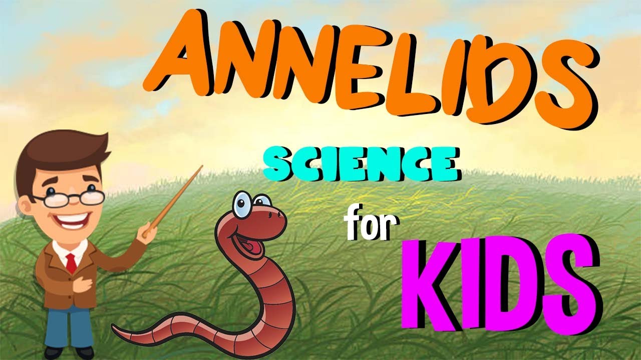 Annelids | Science for Kids
