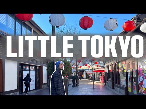 I Can’t Believe What I Found In Little Tokyo