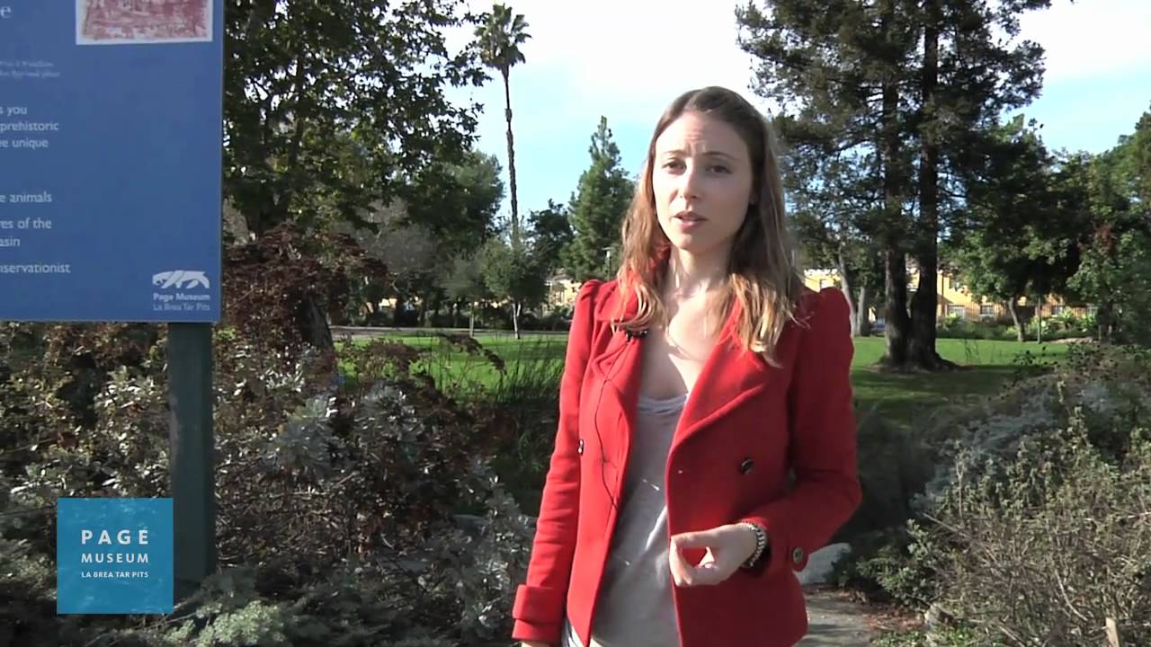 The Pleistocene Garden at the La Brea Tar Pits