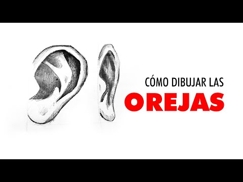 Cómo dibujar las orejas