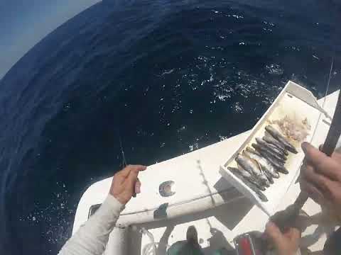 Bottom Fishing 101