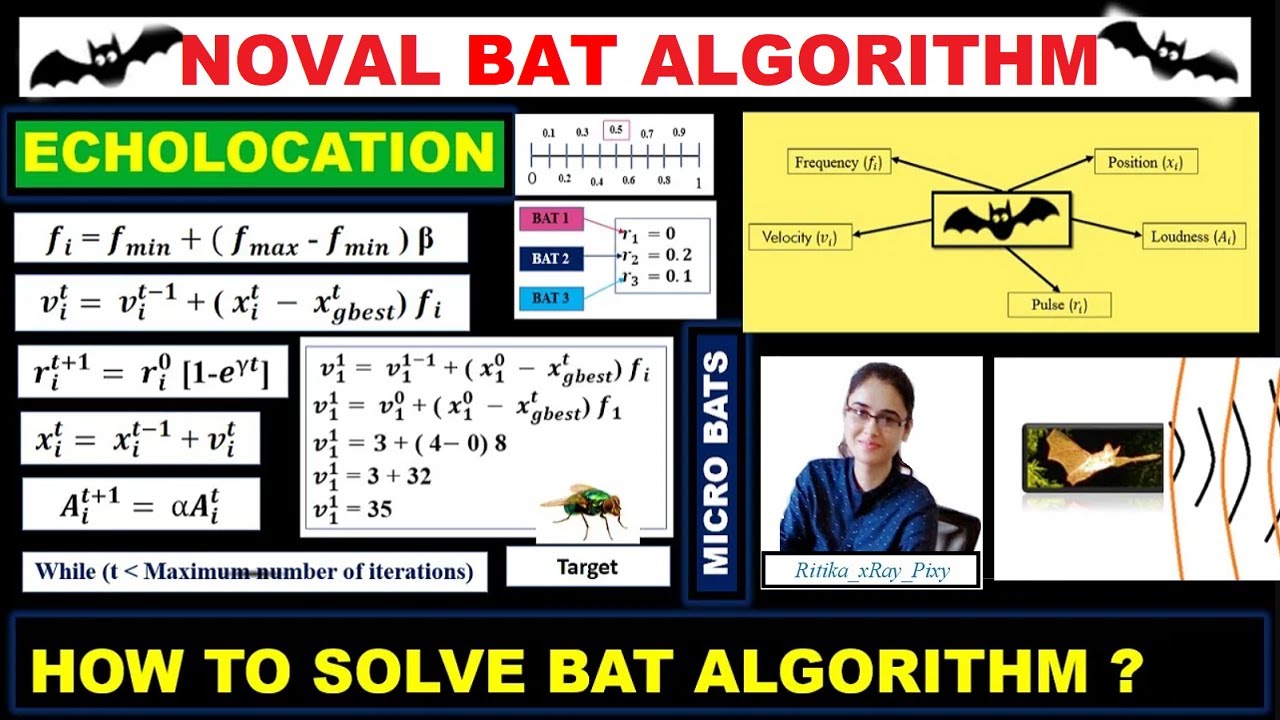 BAT ALGORITHM || SOLVED STEP-BY-STEP || with Example 1 [PART - 1]~xRay Pixy